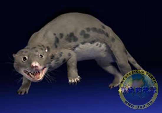 吃恐龙的哺乳动物 - 神秘的地球 科学|自然|地理|探索