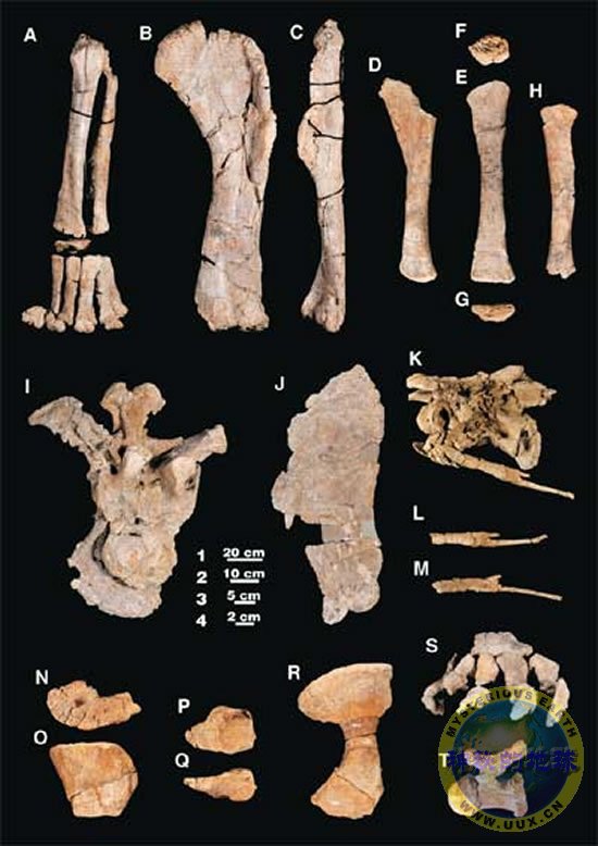 西班牙发现巨型恐龙化石 - 神秘的地球 科学|自然|地理|探索