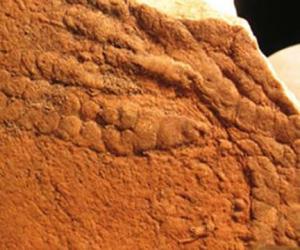 综合资讯 - 神秘的地球 科学|自然|地理|探索