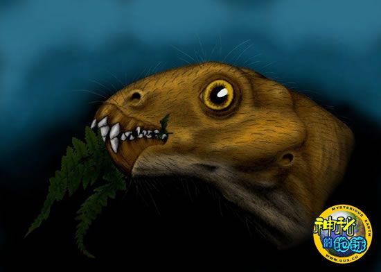 发现已知最古老的树栖动物化石 - 神秘的地球 科学|自然|地理|探索