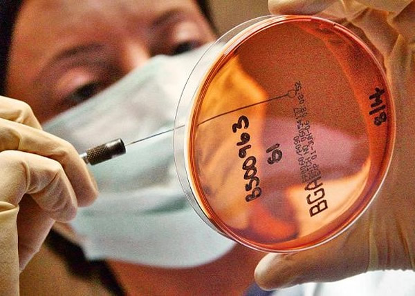 荷兰生物科技公司Micreos成功研发能代替传统抗生素的新疗法Staphefekt - 神秘的地球 科学|自然|地理|探索